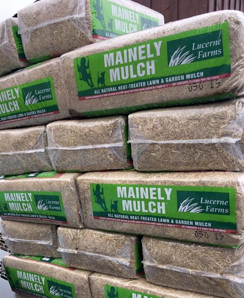 Mainely Mulch Sighting - Lucerne Farms