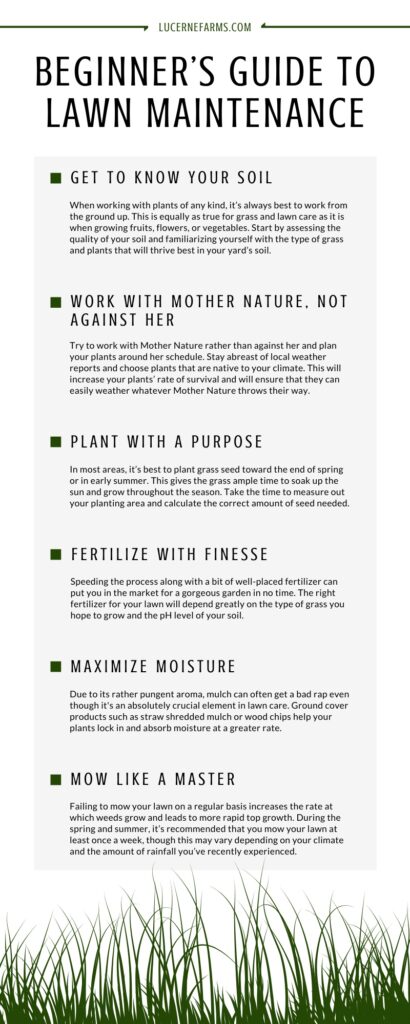 Beginner’s Guide to Lawn Maintenance
